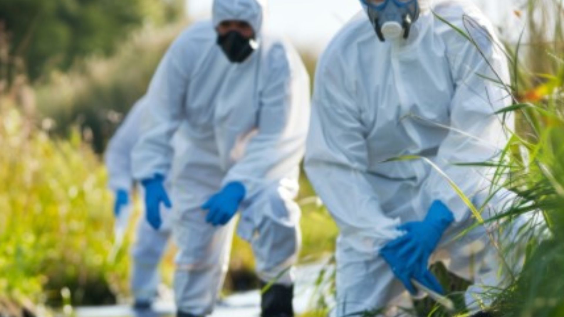 Peran Teknologi dalam Bioremediasi dan Pemulihan Ekosistem - GETI Media