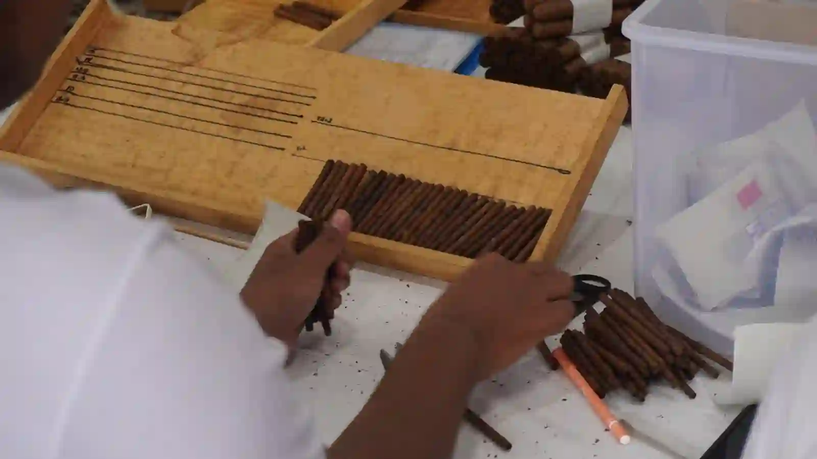 Cerutu Premium Jember Mulai Merambah Pasar Eropa - GETI Media