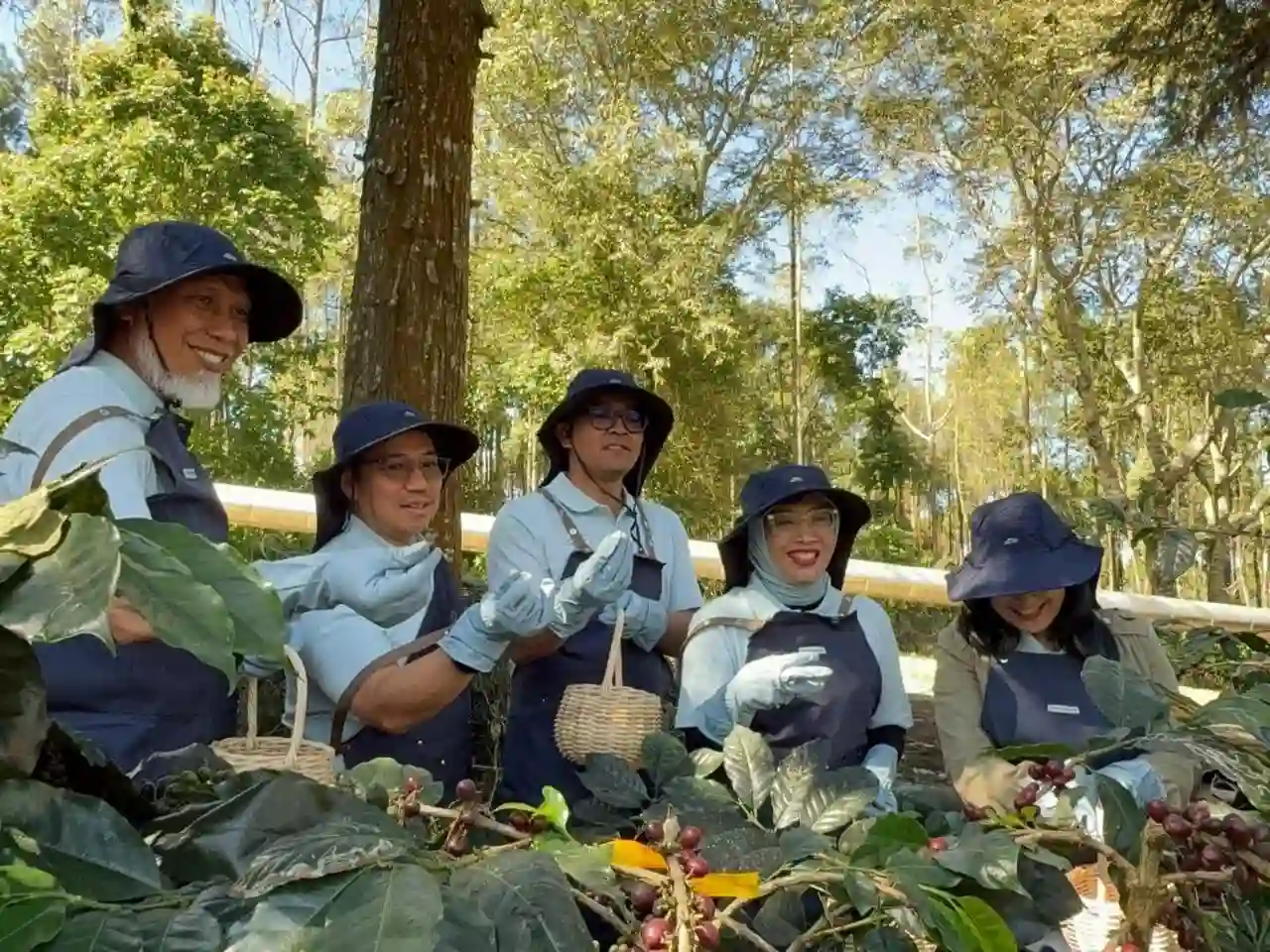 Pertamina Ekspor Kopi Geothermal Kamojang ke Asia dan Eropa - GETI Media